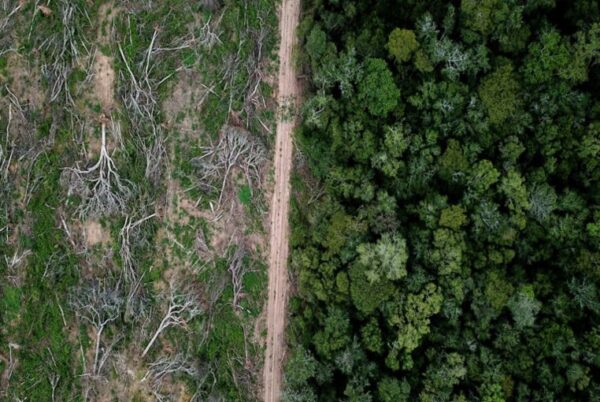 Ecosystem Services – Aries